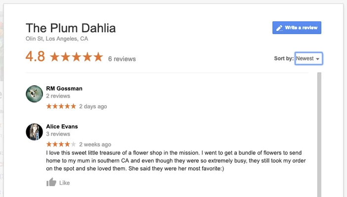 Google Reviews