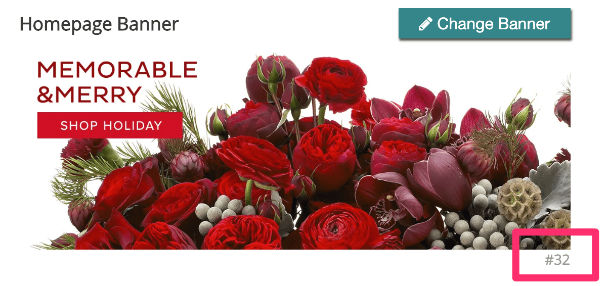 Website Banners | Requesting Banner Updates