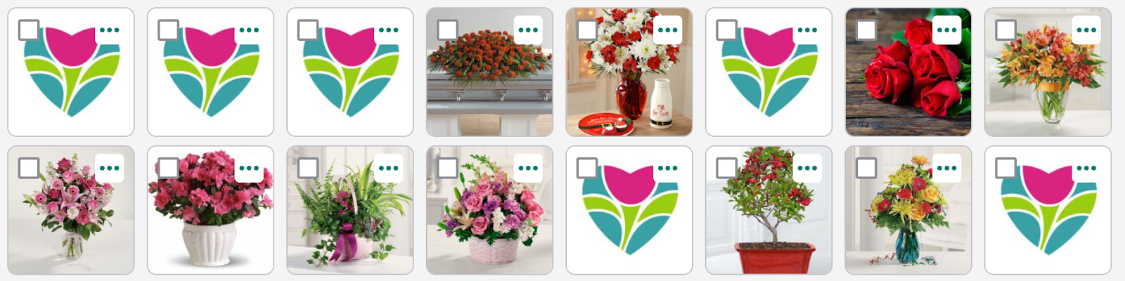 BloomNation Help Center